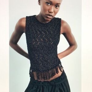 Zara | Tops | Zara Metallic Thread Knit Fringed Top S New | Poshmark